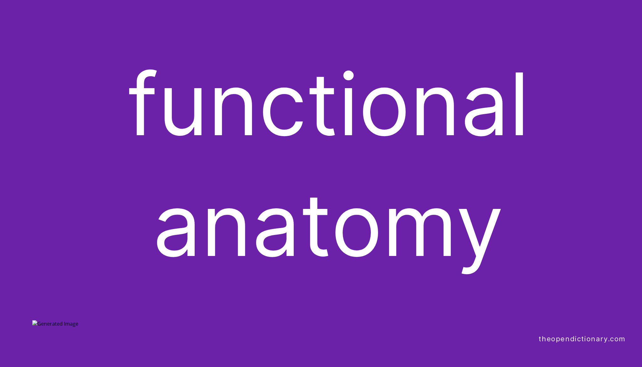 Functional Anatomy Meaning Of Functional Anatomy Definition Of Functional Anatomy Meaning Of Functional Anatomy Definition Of